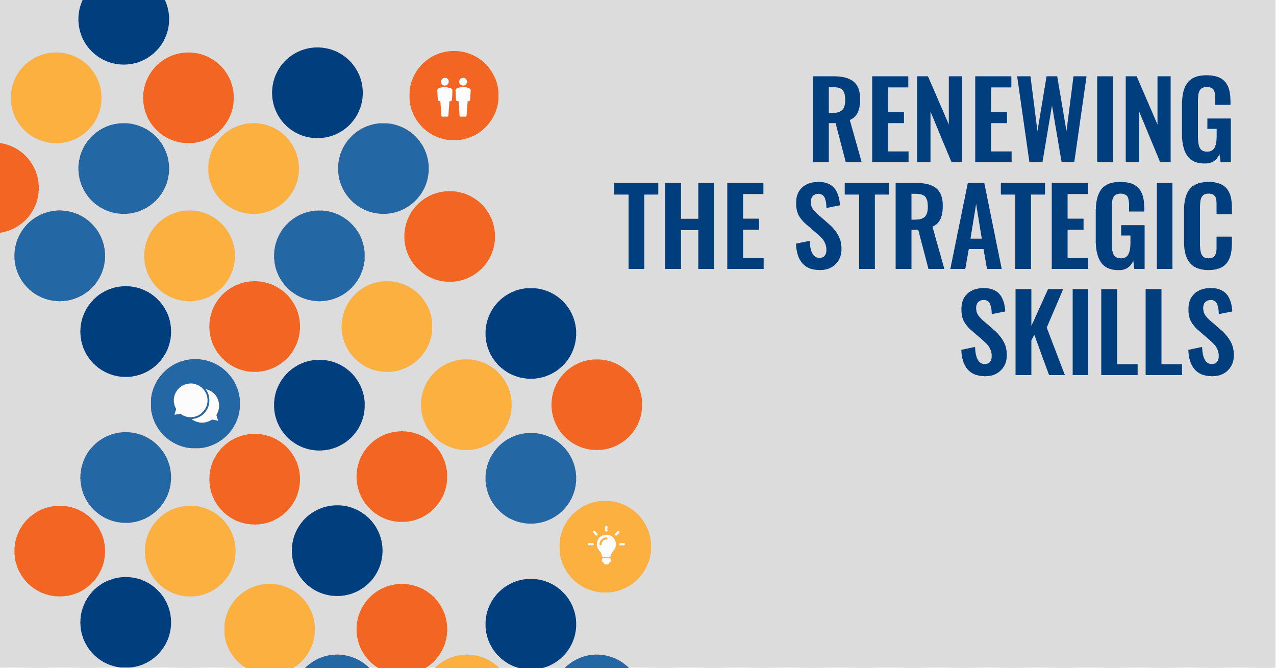 Strategic Skills - de Beaumont Foundation